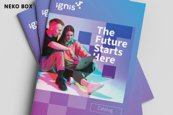 Thiết kế và in Catalogue – Neko Box